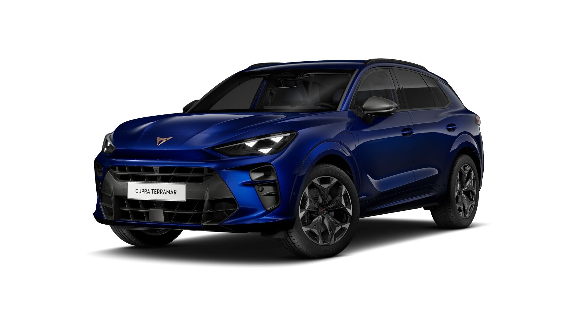 CUPRA Terramar VZ Performance | 360 graden camera | Achteruitrijcamera ...