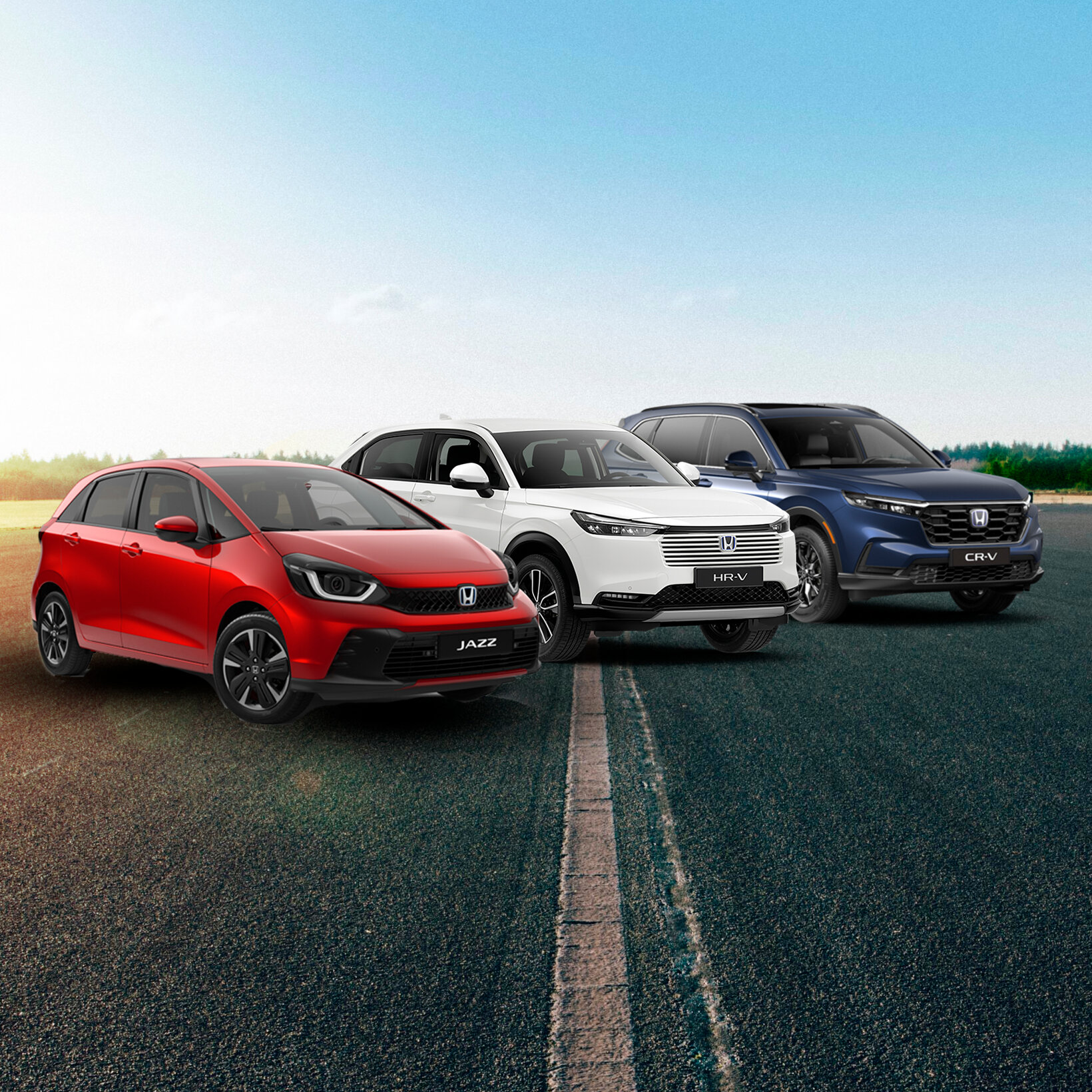 Honda de Bois Amersfoort